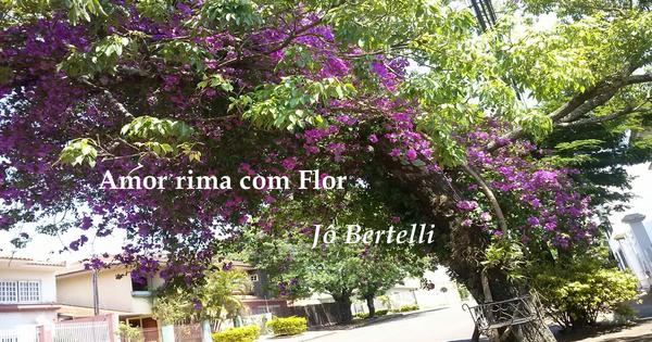 Amor rima com Flor - Saber Sistêmico - Comunidade da Constelação ...